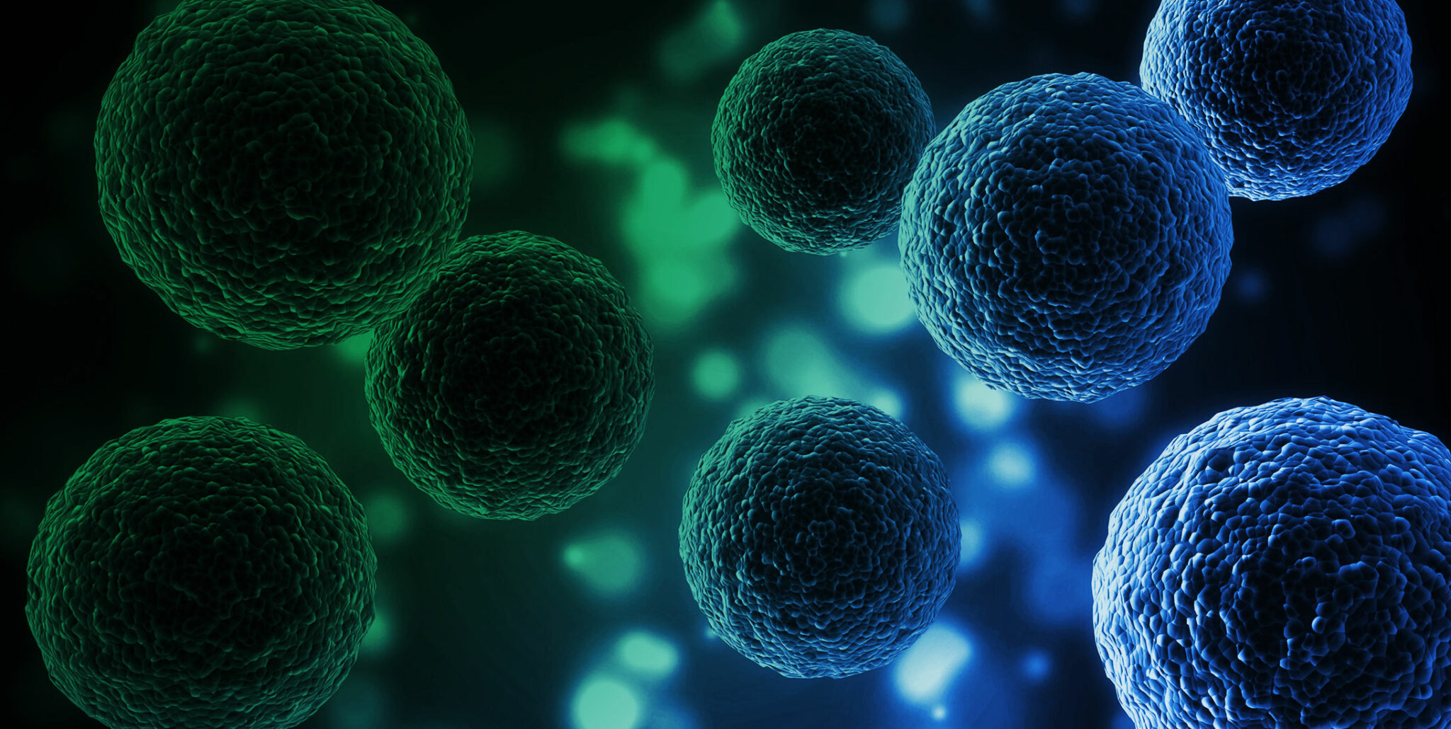 Stem Cell Sample Delivery // Marken / Delivering what matters